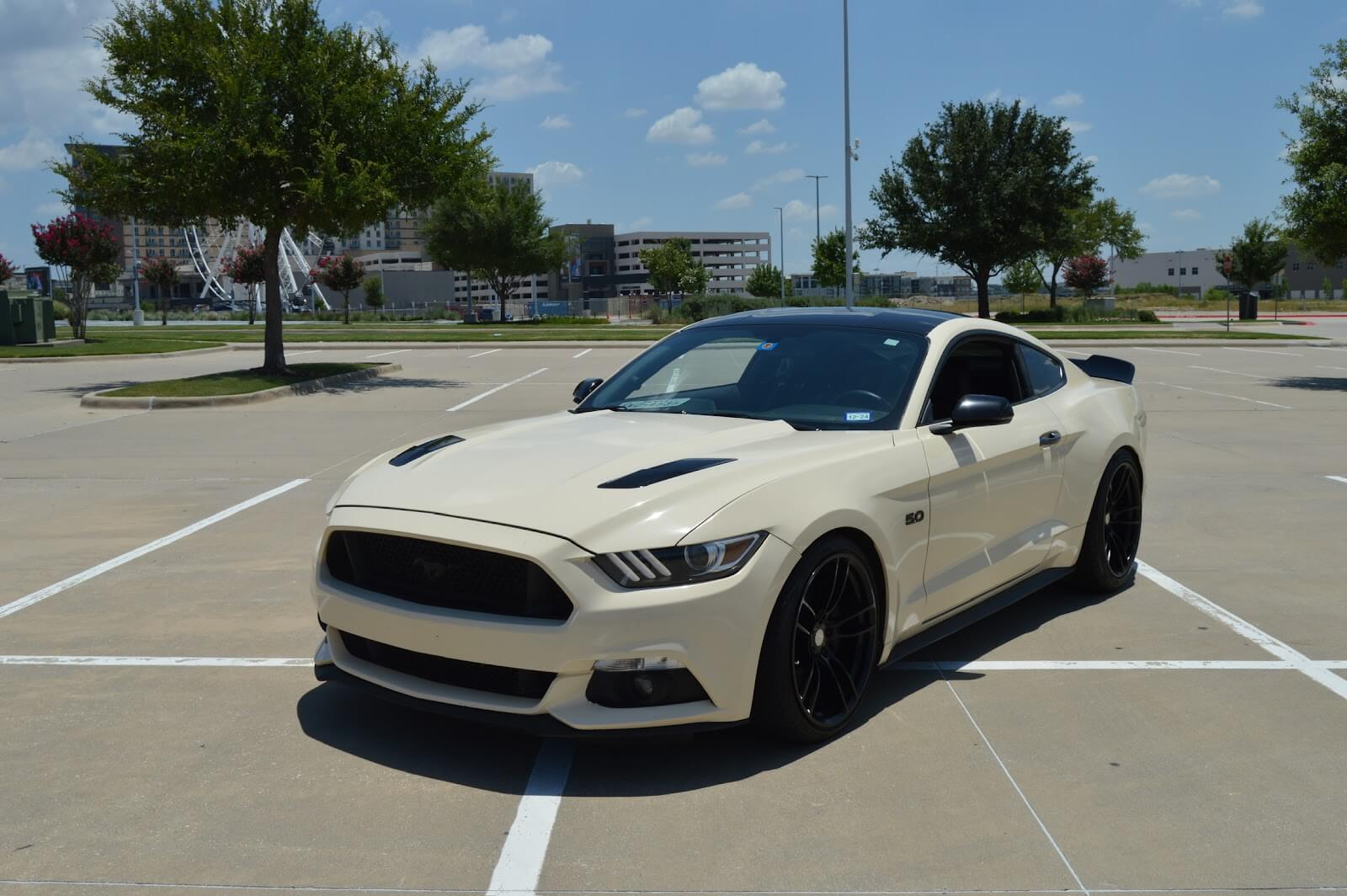 Divine Garages – Car Rental Service